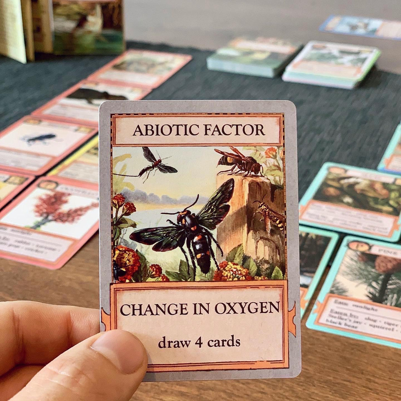 Ecologies Card Game – Montrose Biology