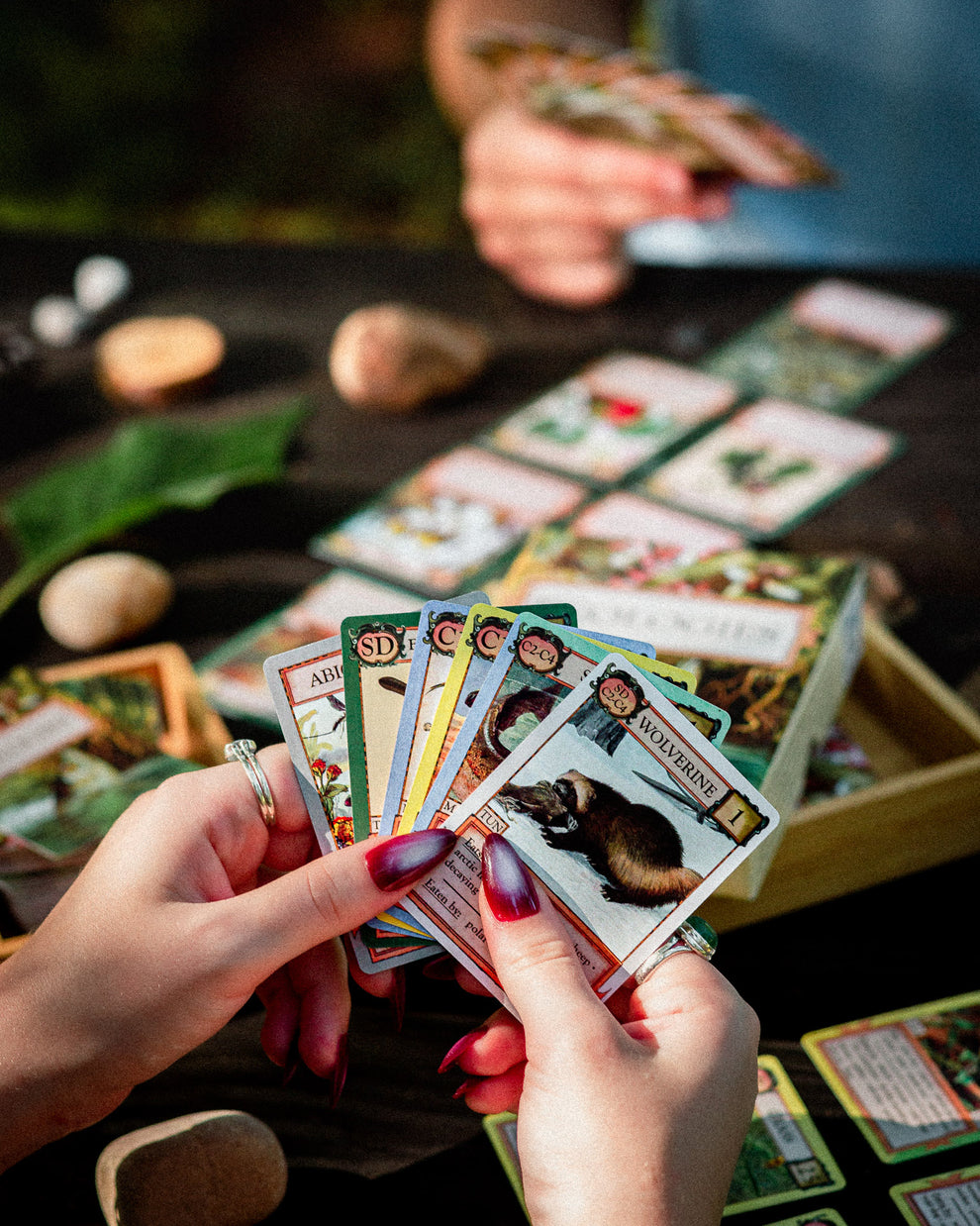 Ecologies Card Game – Montrose Biology