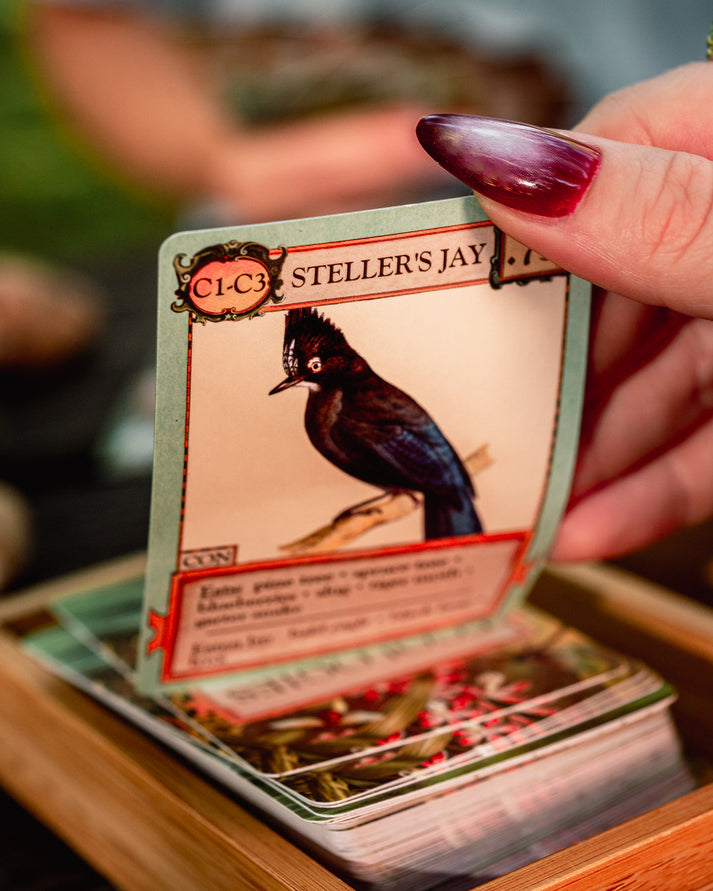 Ecologies Card Game – Montrose Biology