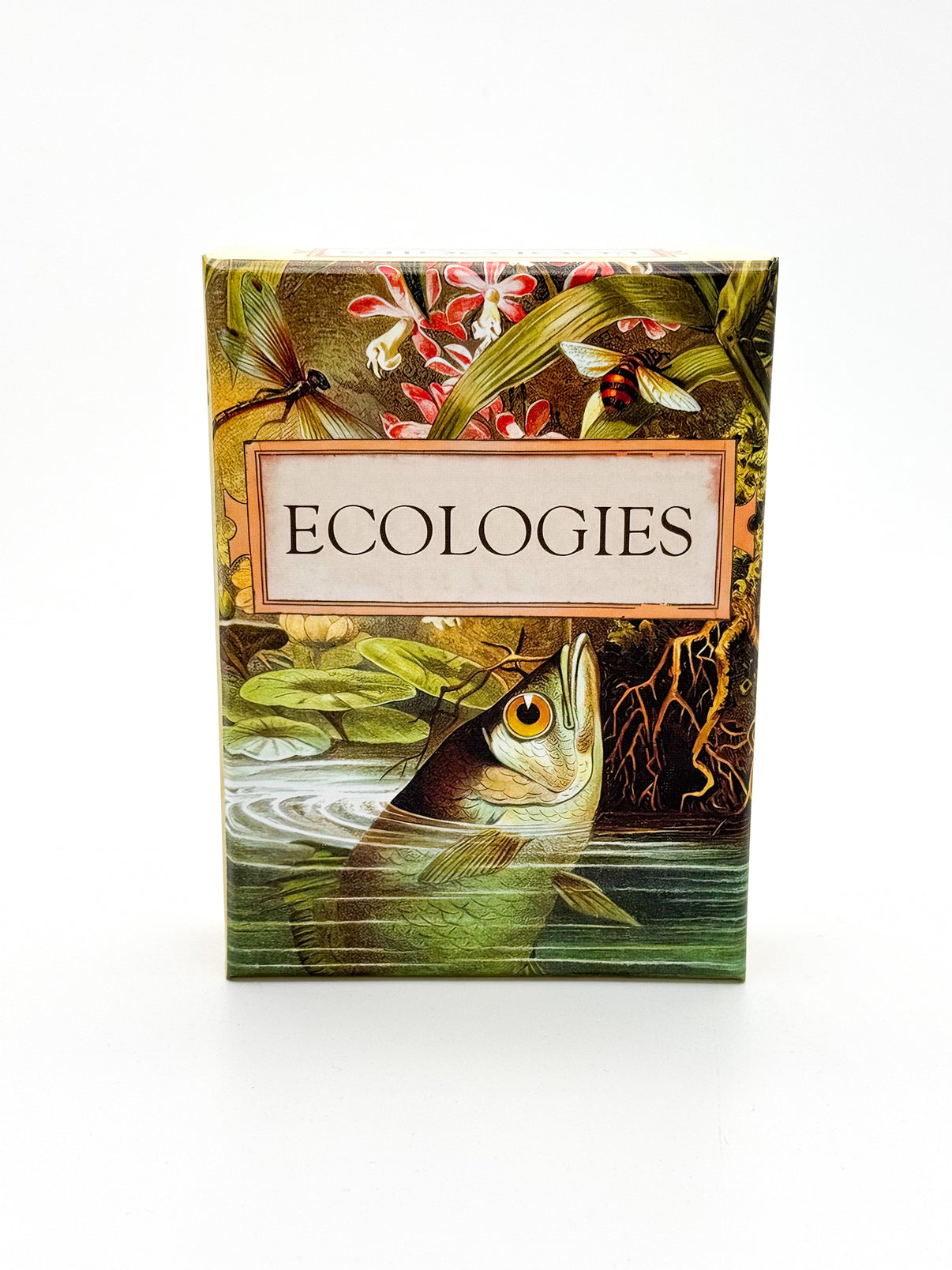 Ecologies Card Game – Montrose Biology