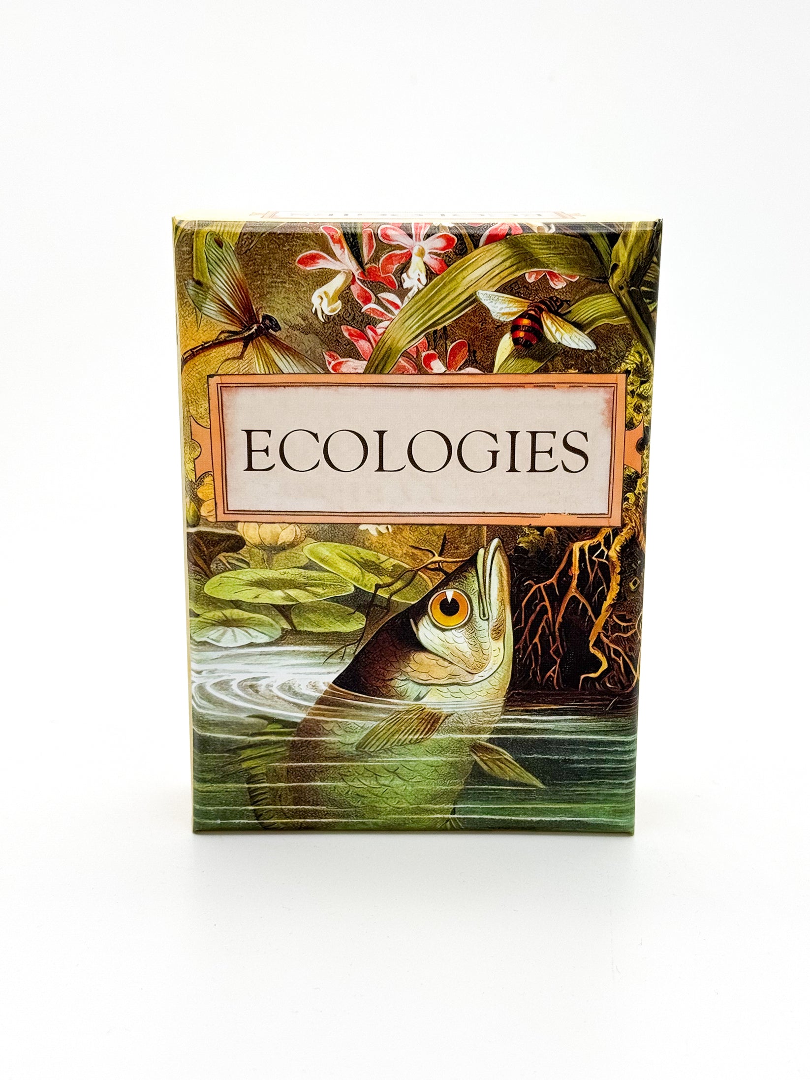Ecologies Card Game – Montrose Biology