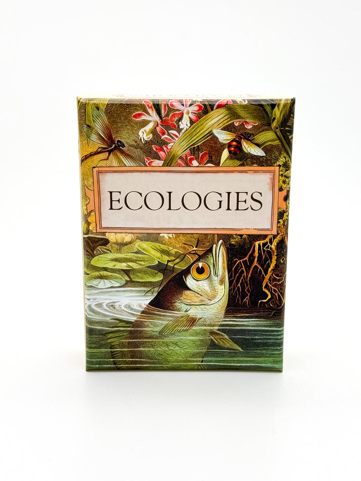 Ecologies Card Game – Montrose Biology