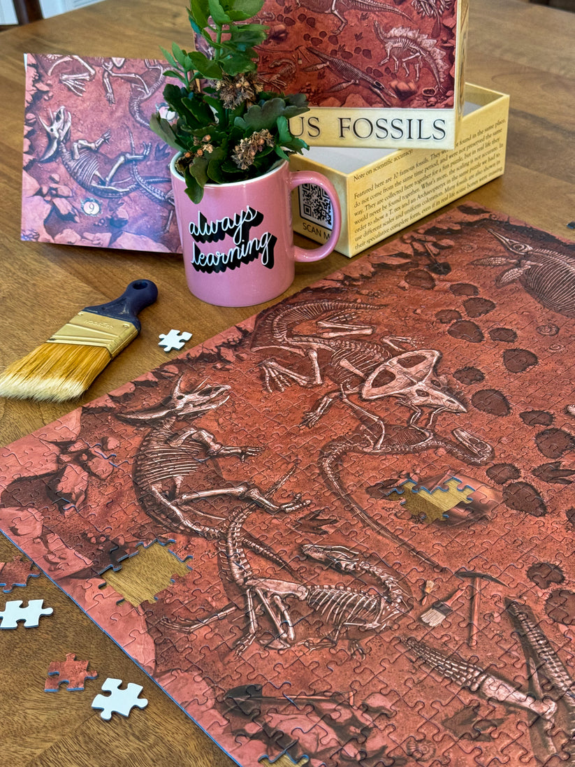 "Famous Fossils" Paleontology Puzzle (1k) – Montrose Biology