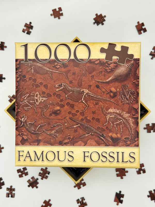 "Famous Fossils" Paleontology Puzzle (1k) – Montrose Biology