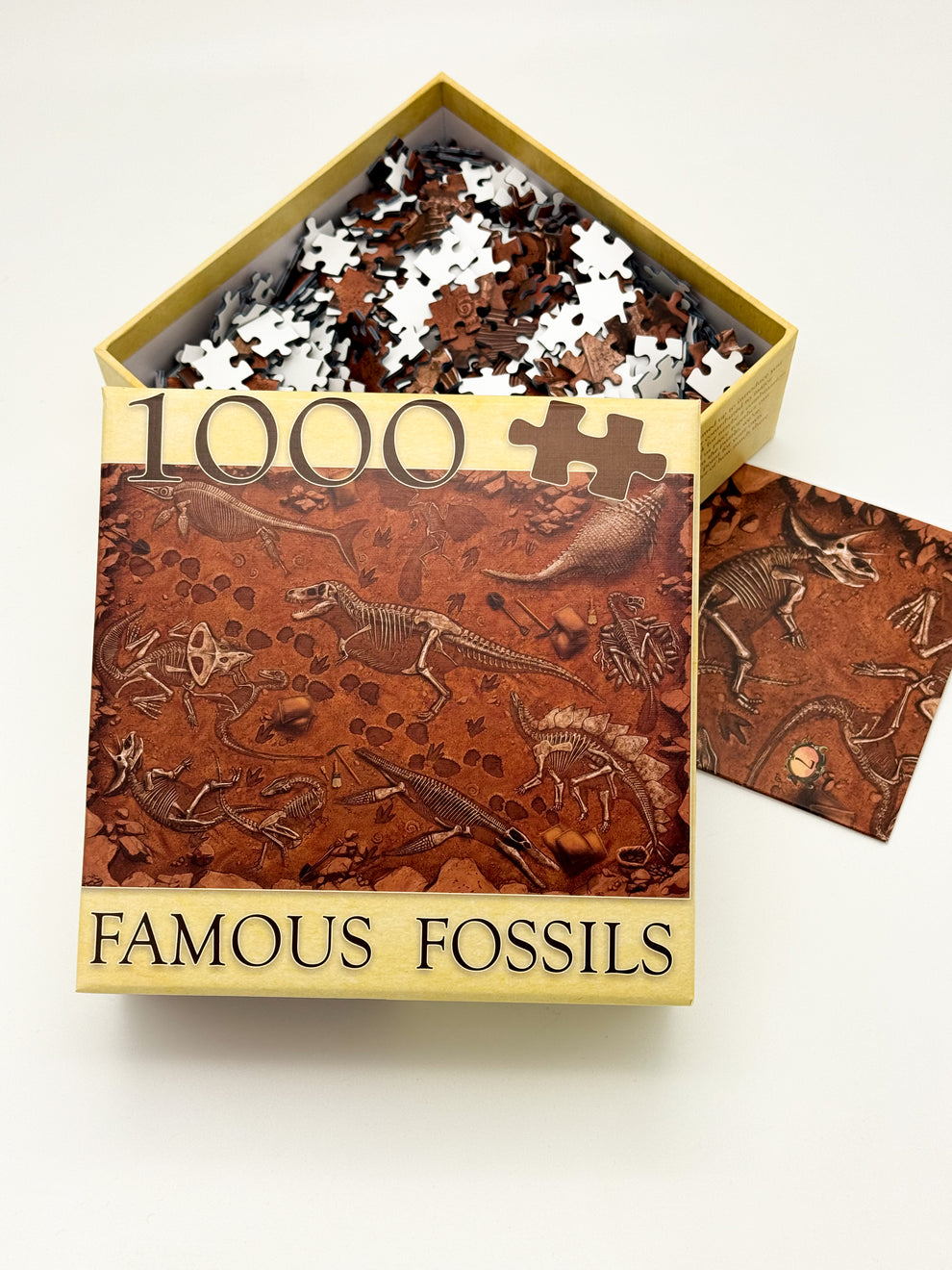 "Famous Fossils" Paleontology Puzzle (1k) – Montrose Biology