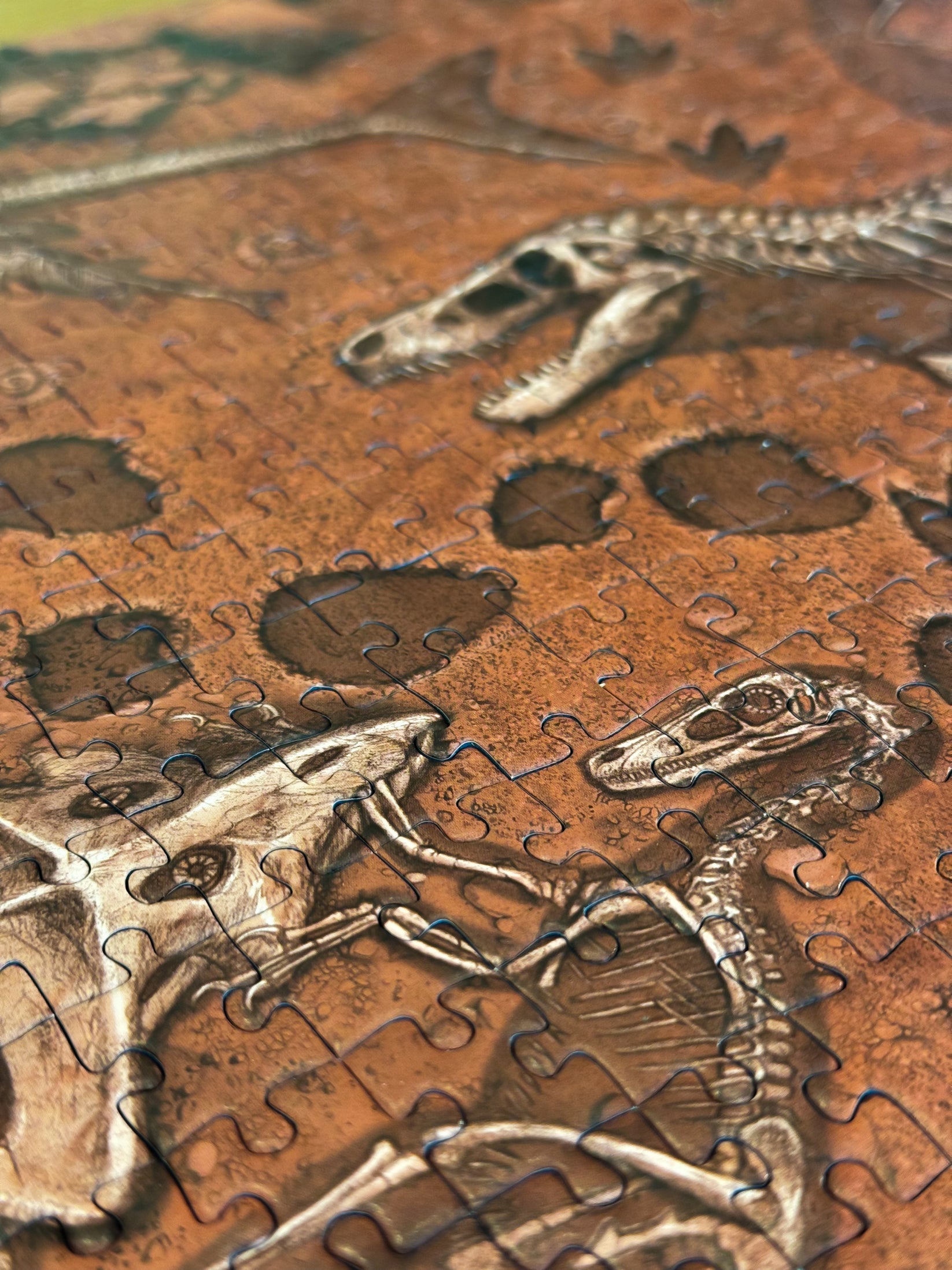 "Famous Fossils" Paleontology Puzzle (1k) – Montrose Biology