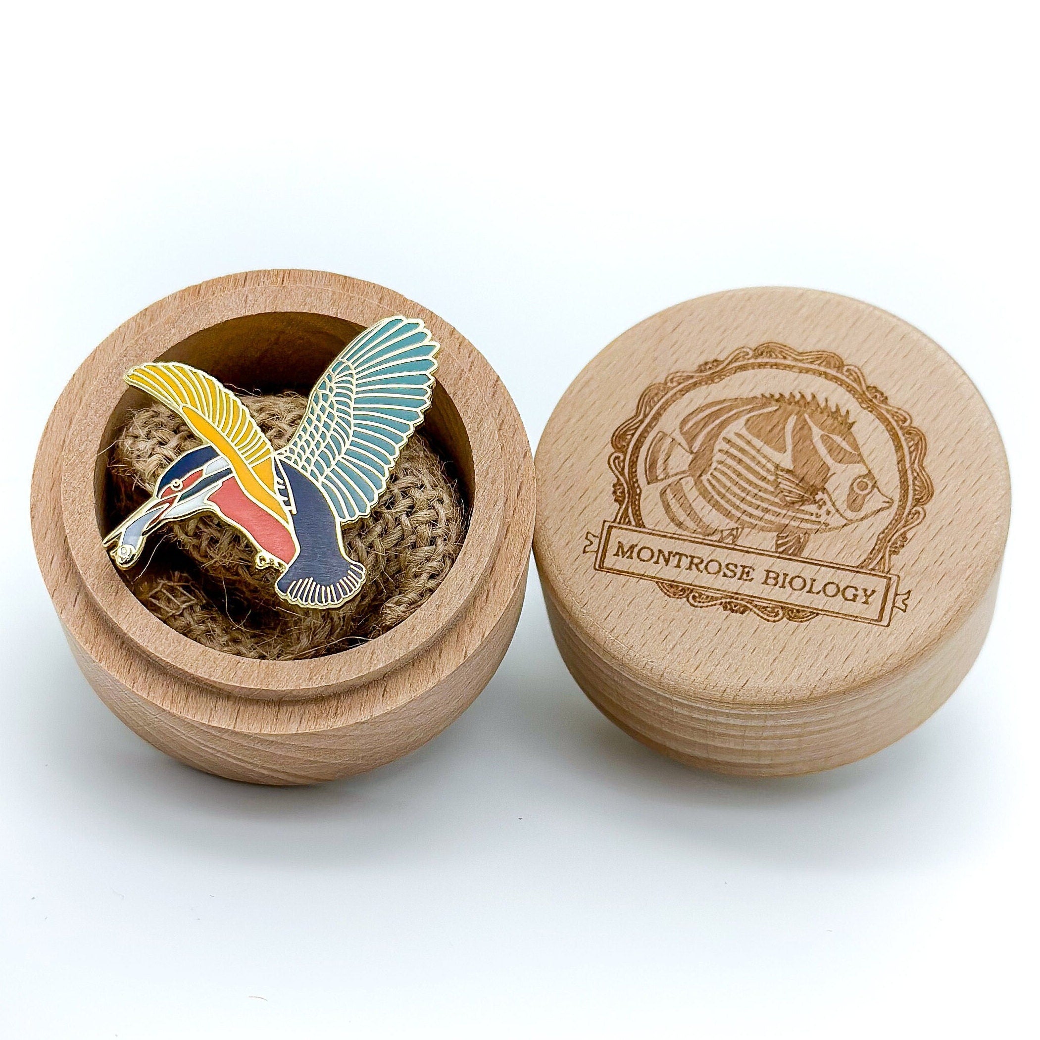 Kingfisher Pin with Wooden Gift Box – Montrose Biology
